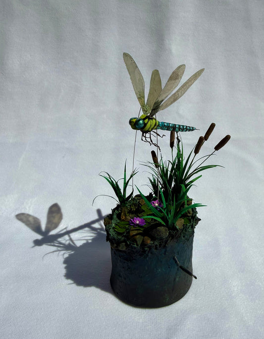 Now Available – pennythomsonworks