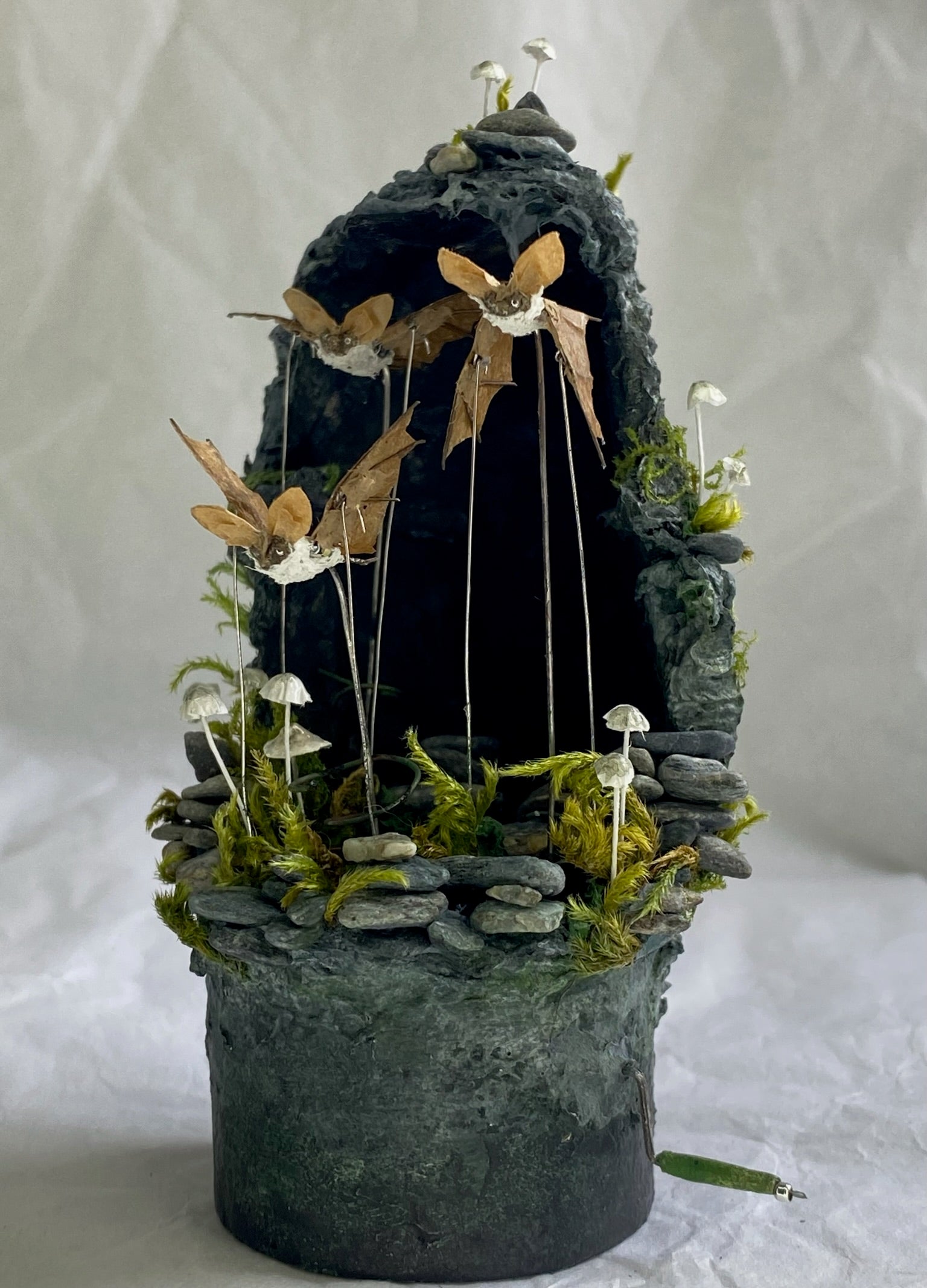 Now Available – pennythomsonworks