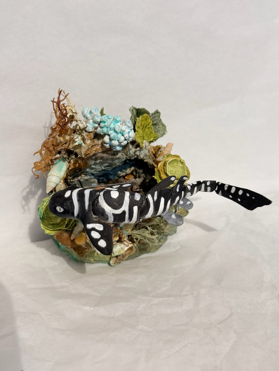 Now Available – pennythomsonworks