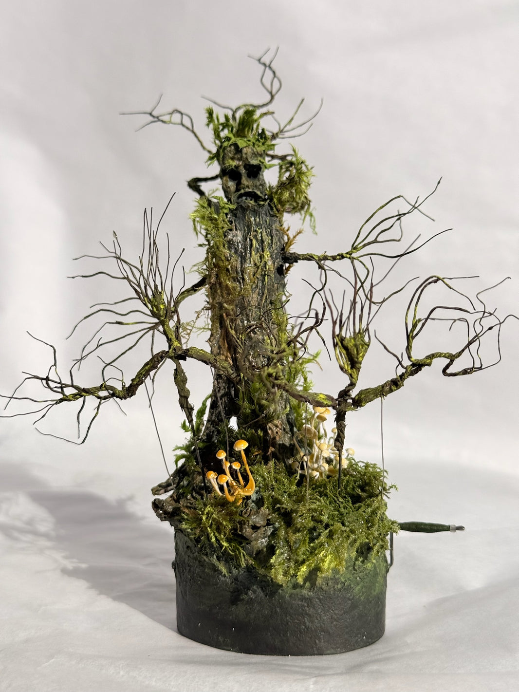 Now Available – pennythomsonworks